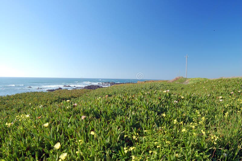 Springtime coastal meadow stock photo. Image of pole, idyllic - 561964