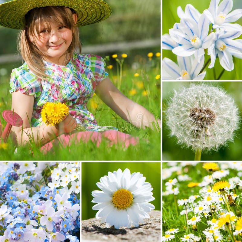 Springtime collage stock image. Image of dandelions, green - 42078569
