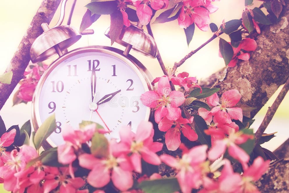 Springtime Daylight Savings Time Stock Image - Image of alarm, deadline ...