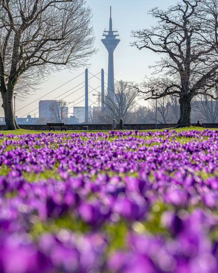 Springtime, Dusseldorf, Germany Editorial Stock Photo - Image of ...