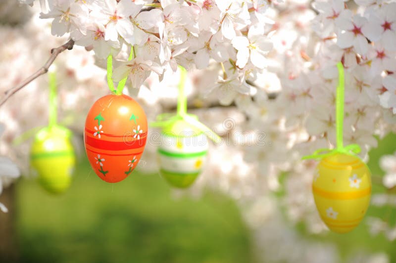 Colorful Easter Eggs on Sunny Beach Stock Photo - Image of easter ...