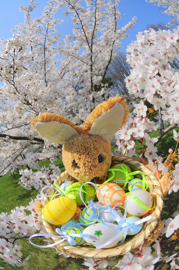 Springtime easter stock image. Image of flowers, bunny - 14833645