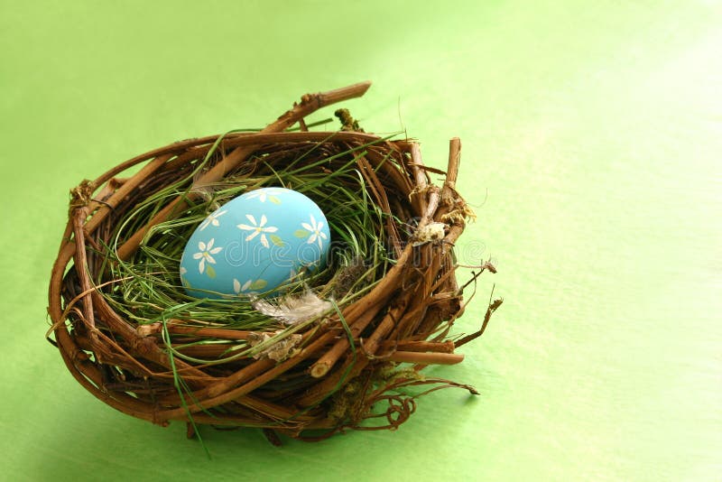 Springtime Egg in Nest stock image. Image of fresh, birth - 605965