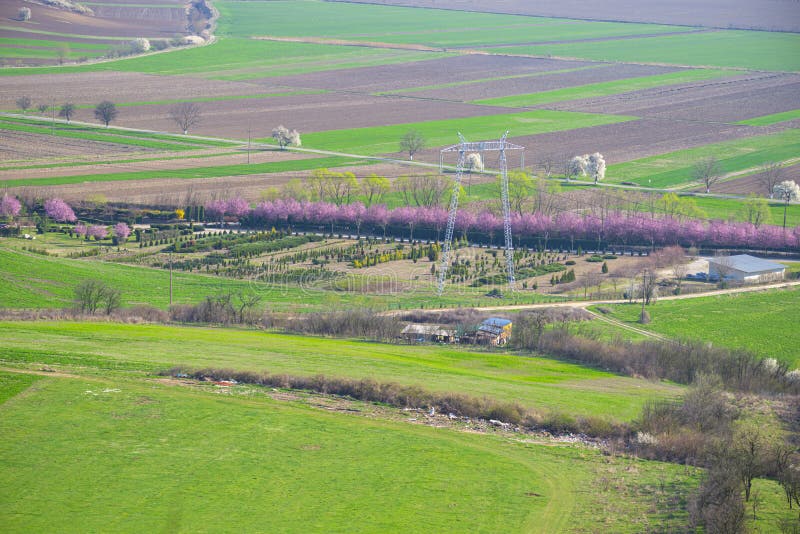 Springtime Field Landscape Near the Mountains Stock Image - Image of ...
