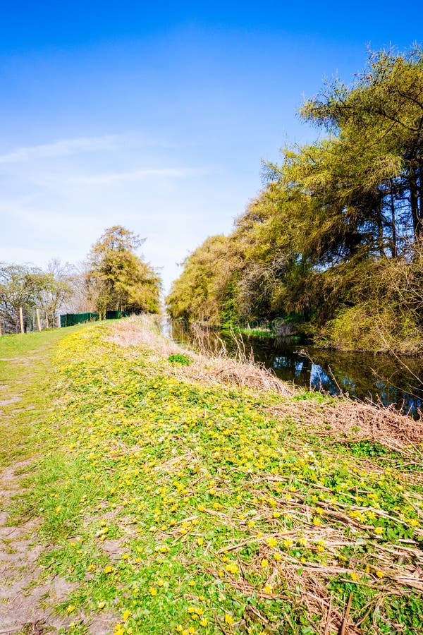 Springtime Fields with Hedges, Trees Beautiful Blue Sky Stock Image ...