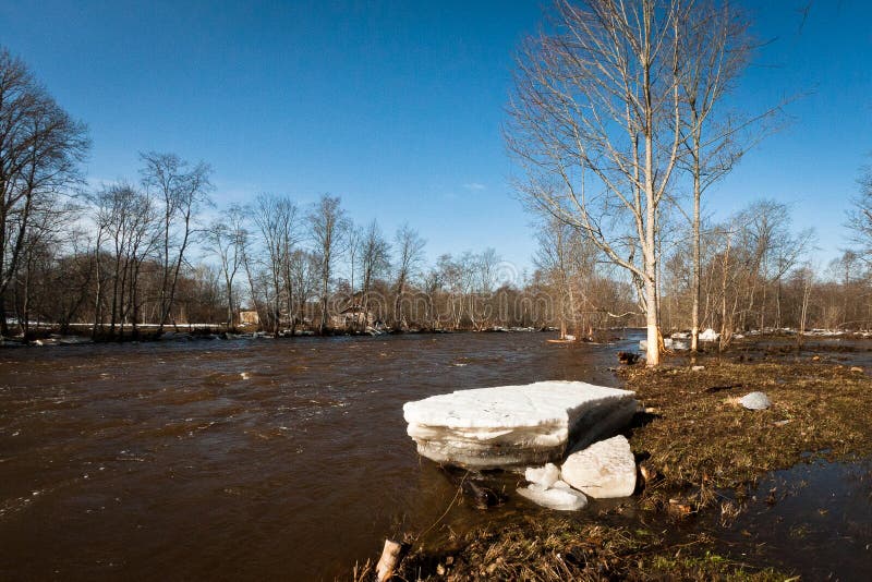 Springtime Flooding in Jugla River Stock Image - Image of cold ...