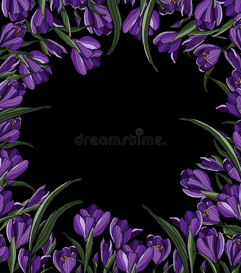 Crocus frame stock vector. Illustration of garland, border - 164313037