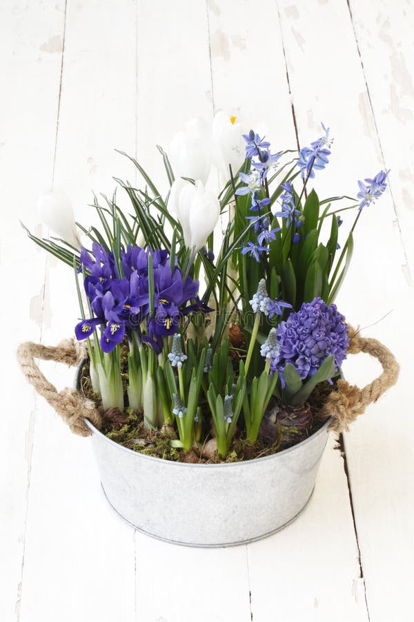 Flowers Composition. Orchid Flowers on White Background. Flat Lay, Top ...