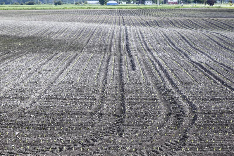 Springtime and a Freshly Seeded Field Stock Image - Image of pattern ...