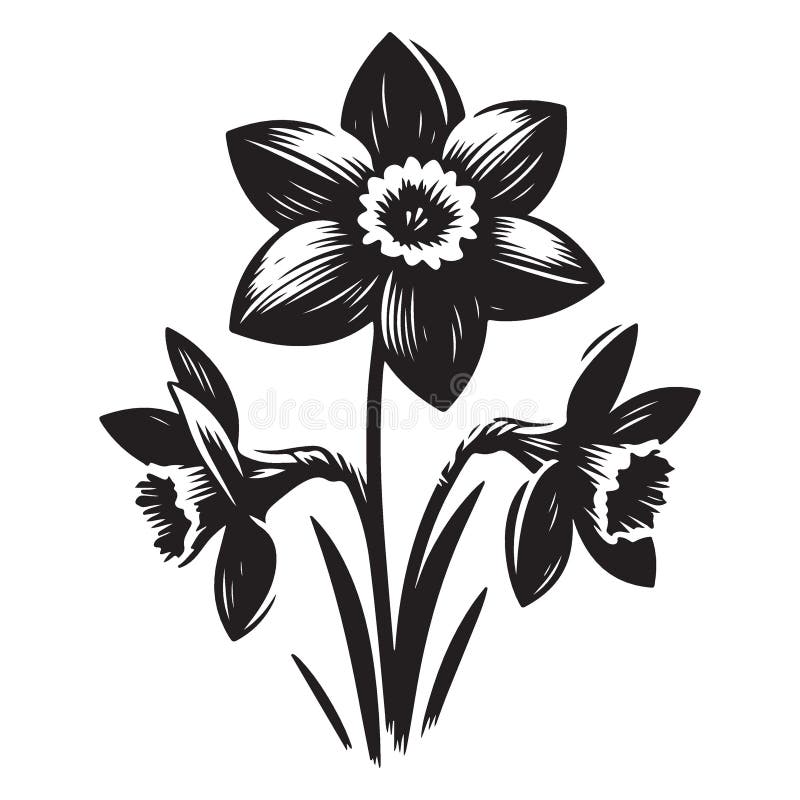 Daffodils Flower Silhouette Spring Vector Graphic Illustration Artwork ...
