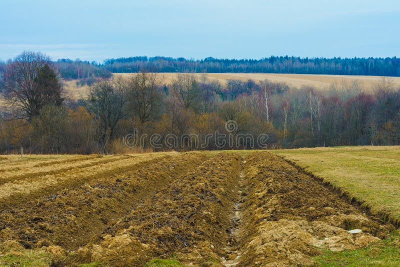 Springtime, in the Garden with Humus Beds, Soil Fertilizer Stock Photo ...