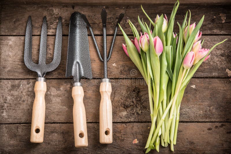 Springtime stock image. Image of vegetable, wooden, tools - 51874157