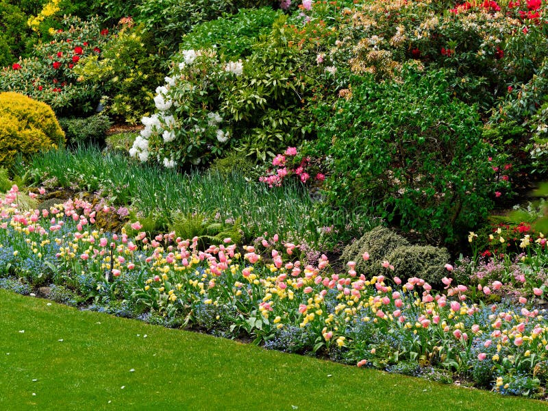 Springtime garden stock photo. Image of walkway, forgetmenot - 216812930
