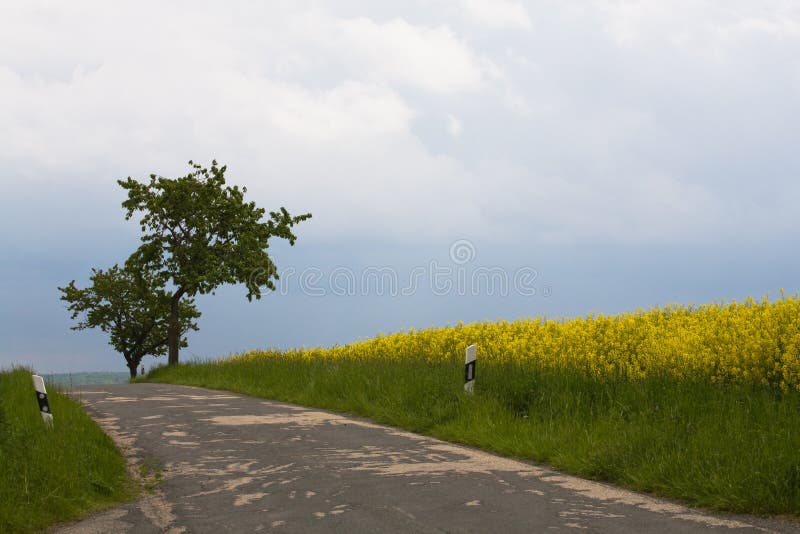 Springtime in germany stock photo. Image of pasture, field - 5207110