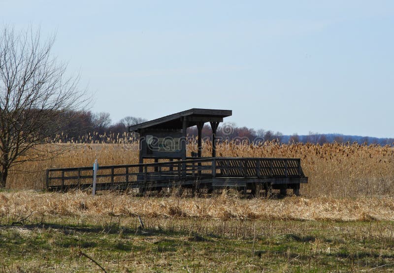 Springtime Hike at Montezuma Marsh Observatory Stock Image - Image of ...
