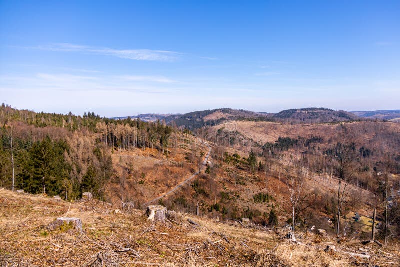 Springtime Hiking through the Beautiful Thuringian Forest Near ...