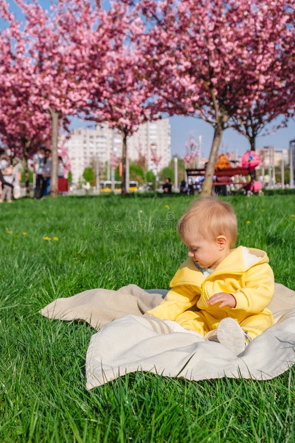 Springtime Joy Captured As Baby Relaxes Under Sakura Trees. Stock Photo ...