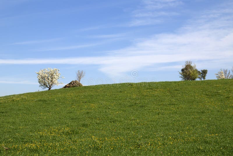 Springtime landscape stock photo. Image of grass, beautiful - 12490618