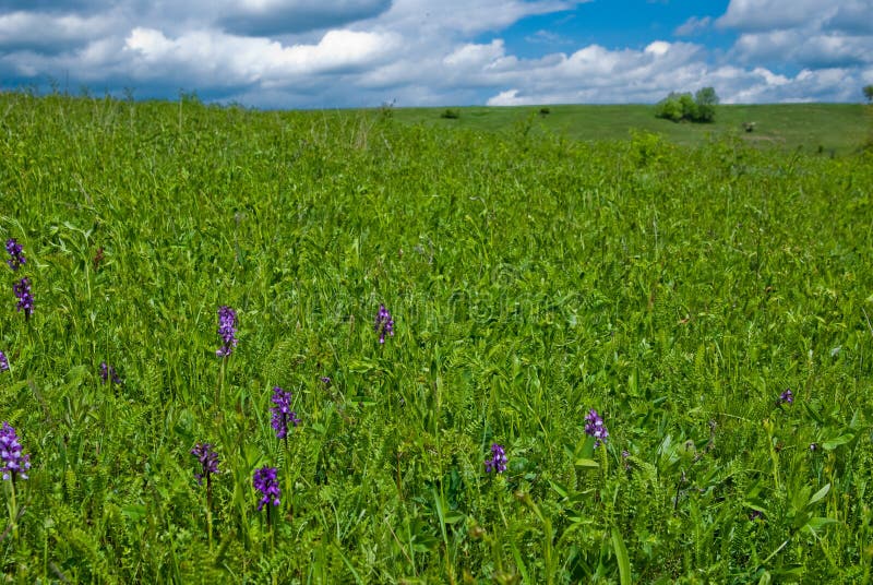 Springtime landscape stock image. Image of romania, wallpaper - 14235985