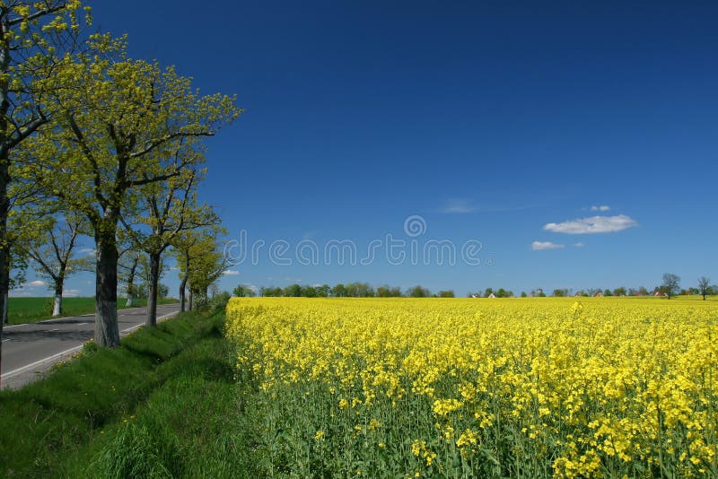 Poland landscape stock image. Image of spring, polish - 5117627