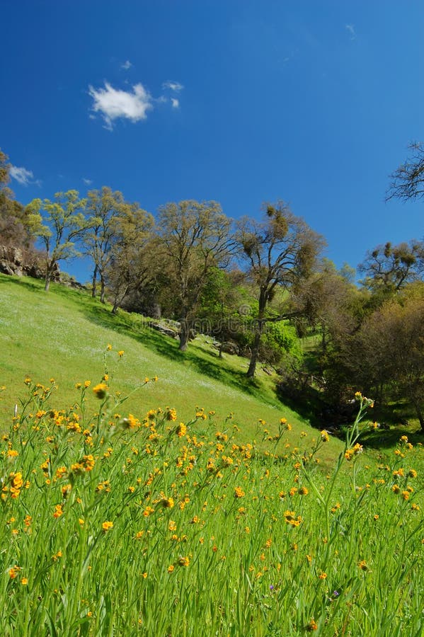Springtime landscape stock image. Image of clouds, springtime - 676047