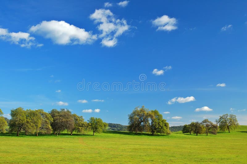 Springtime landscape stock image. Image of flora, northern - 676137