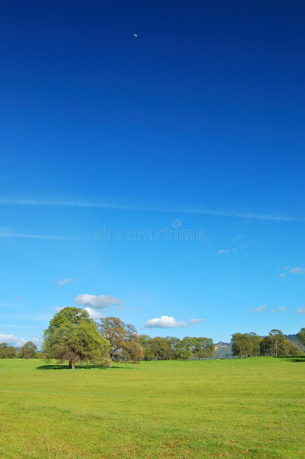 Springtime landscape stock image. Image of landscape, springtime - 676387