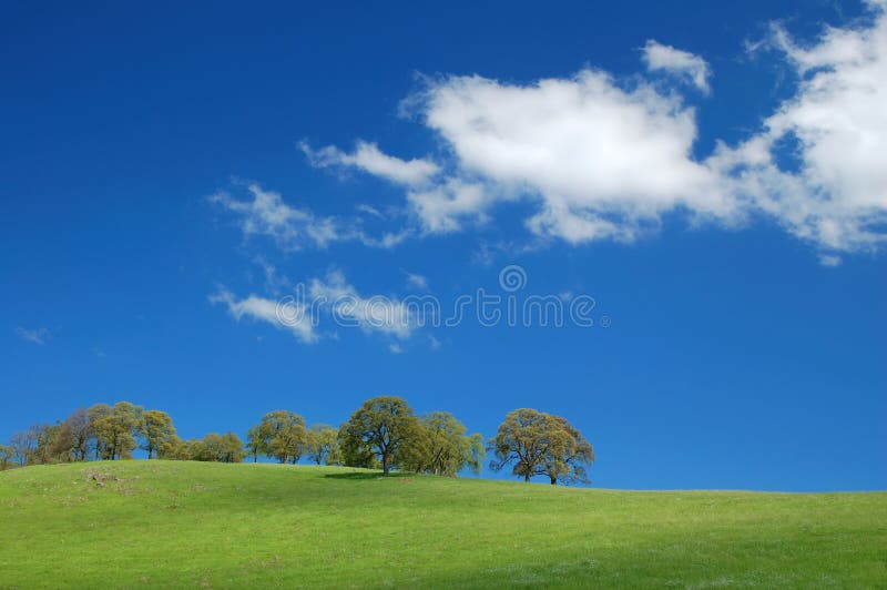 Springtime landscape stock image. Image of flora, grass - 676429