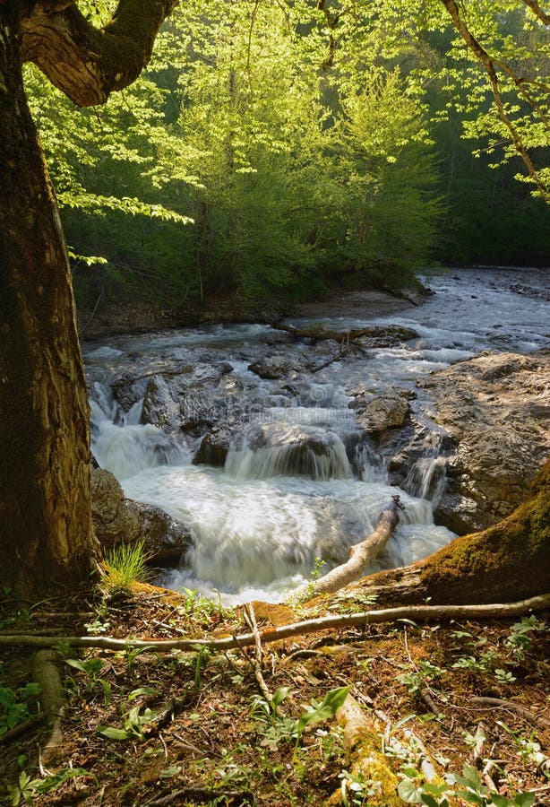Springtime Landscape of Mountain River with Small Waterfall Over Rocks ...