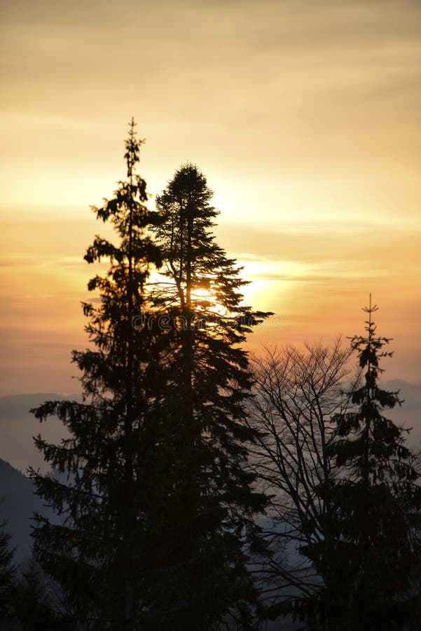Landscape in the Spring Day at the Sunset in Colibita Stock Photo ...