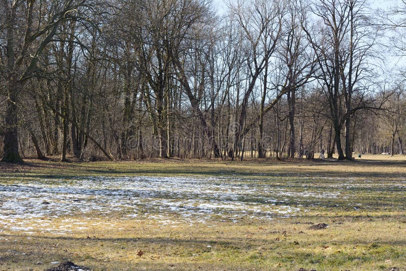 Last snow of the season stock photo. Image of winter, frost - 30000