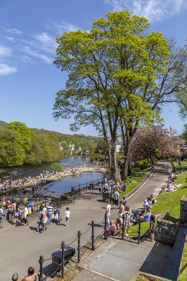 Dee Gatton Hot Stock Photos - Free & Royalty-Free Stock Photos from ...