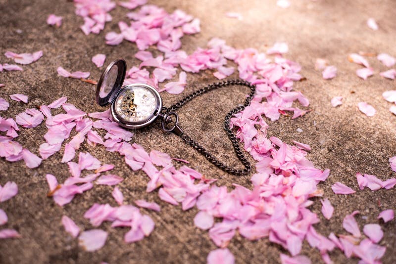 Springtime Love stock photo. Image of pink, clock, outside - 91419518