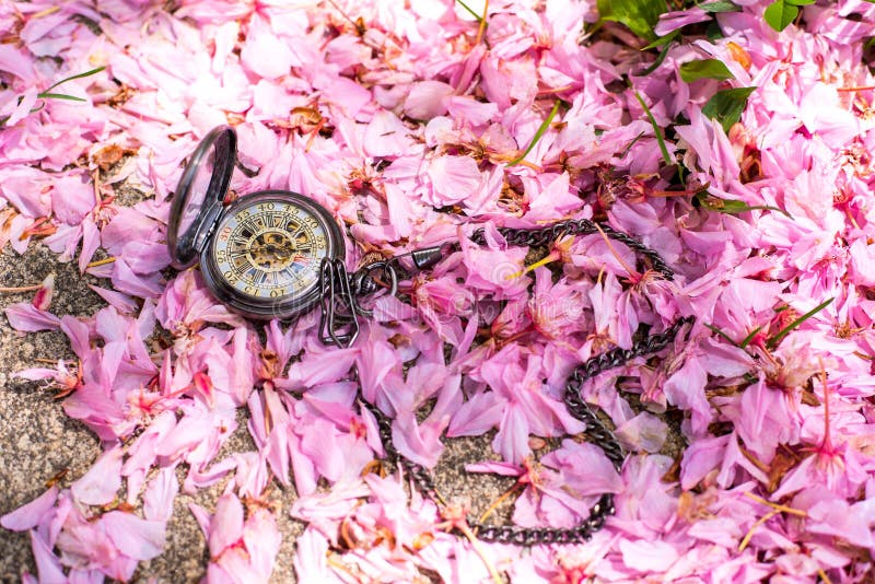 Springtime Love stock photo. Image of change, blossom - 91419594