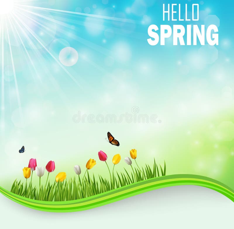 Tulips Butterflies Background Stock Illustrations – 707 Tulips ...