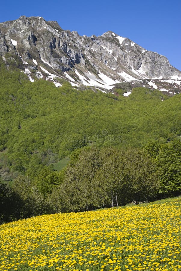 Springtime in mountains stock image. Image of excursion - 31249285