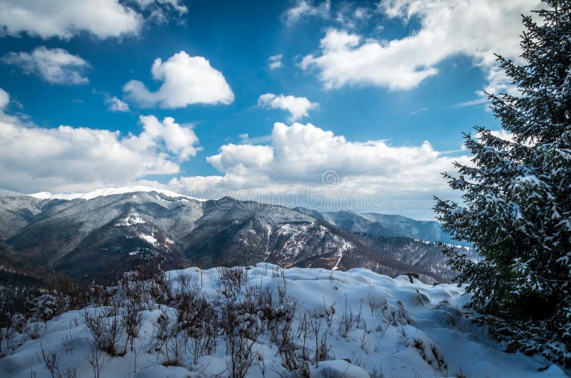 Springtime in mountains. stock image. Image of snow, snowy - 69049311