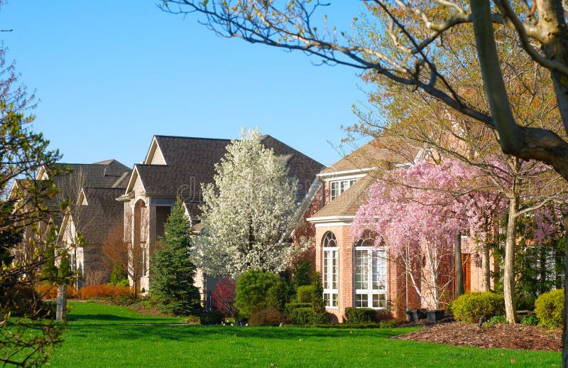 Springtime neighborhood stock photo. Image of bushes - 13894946