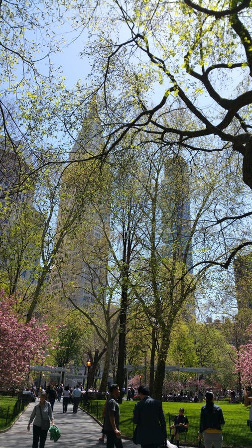 Springtime in New York editorial stock image. Image of beautiful ...