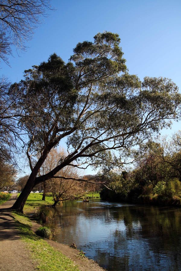 Springtime in New Zealand stock photo. Image of walkway - 10957718