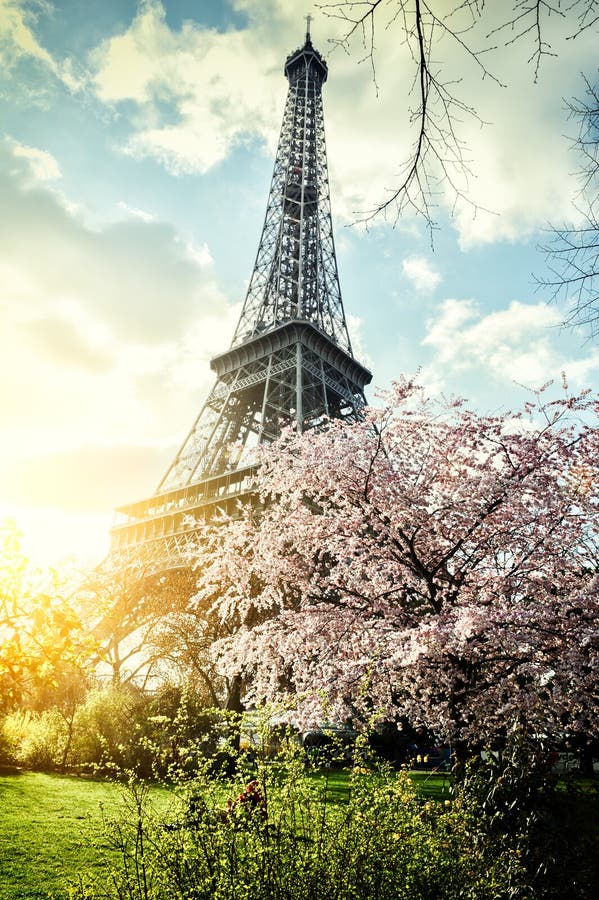 Springtime in Paris. Eiffel Tower Stock Image - Image of building ...