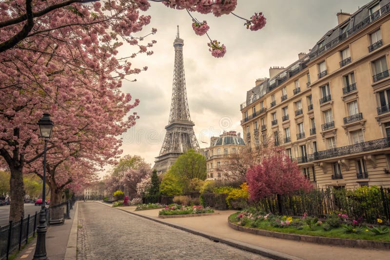 Springtime in Paris. Eiffel Tower (toned Image Stock Illustration ...