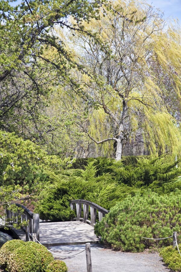 Springtime Park stock photo. Image of gardening, bend - 28383090