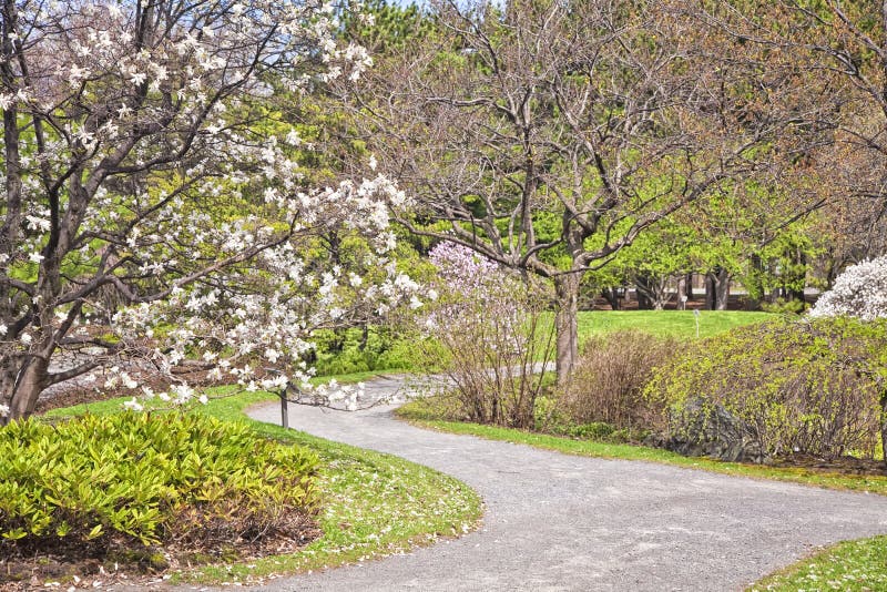 Springtime Park stock photo. Image of foliage, path, color - 28383116