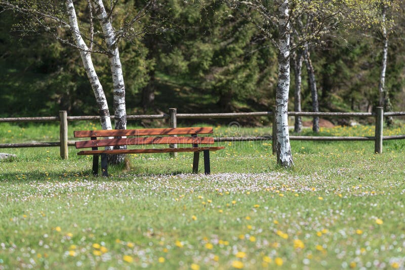 Springtime park bench stock image. Image of outside - 184546951