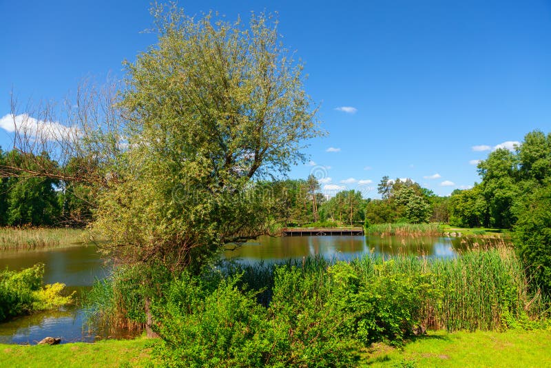 Springtime in the park stock image. Image of river, pond - 68022071