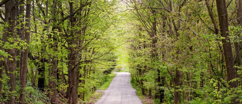 Springtime Road Panorama in Indiana Stock Photo - Image of travel ...