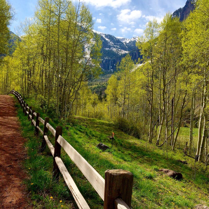 Springtime in the Rockies stock photo. Image of springtime - 78591440