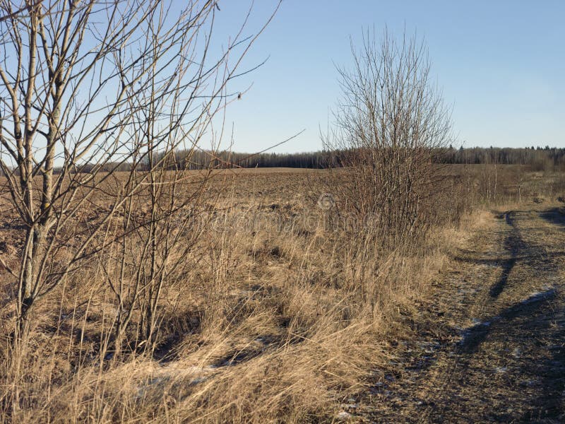 Springtime rural scene stock photo. Image of tree, horizon - 90146980