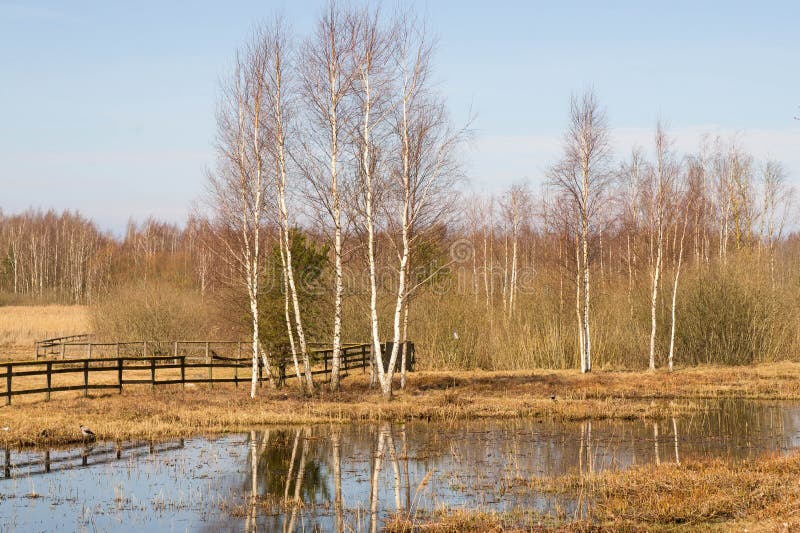 Springtime Rural Scenery, Transylvania, Romania Stock Image - Image of ...